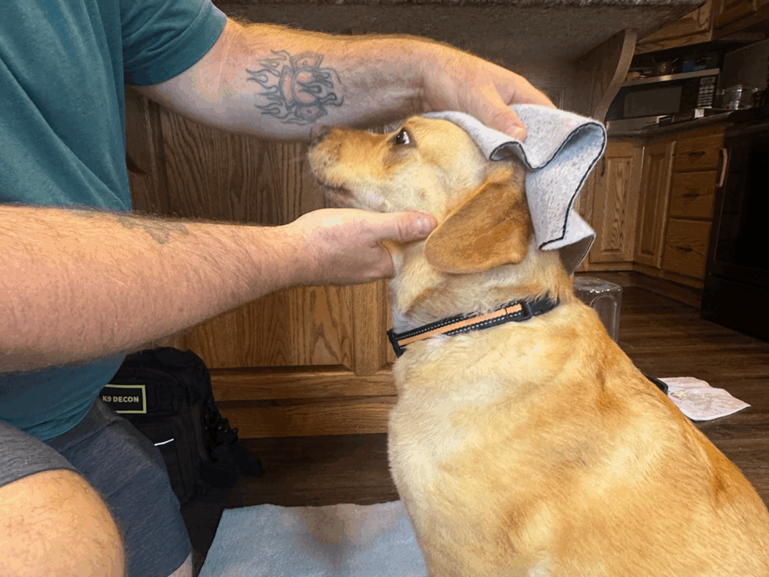 K9 Decon Kit - First Line Technology