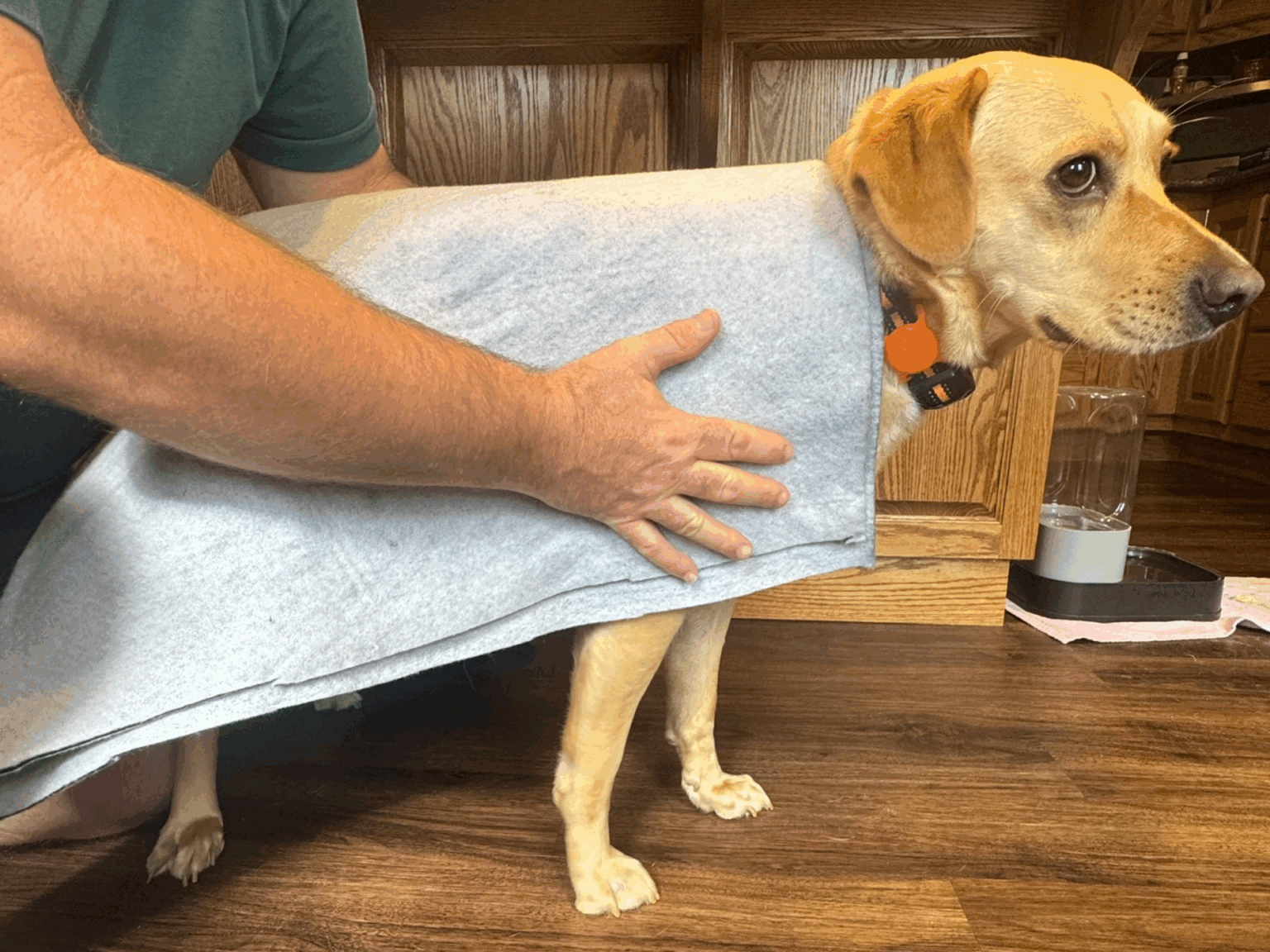 K9 Decon Kit - First Line Technology